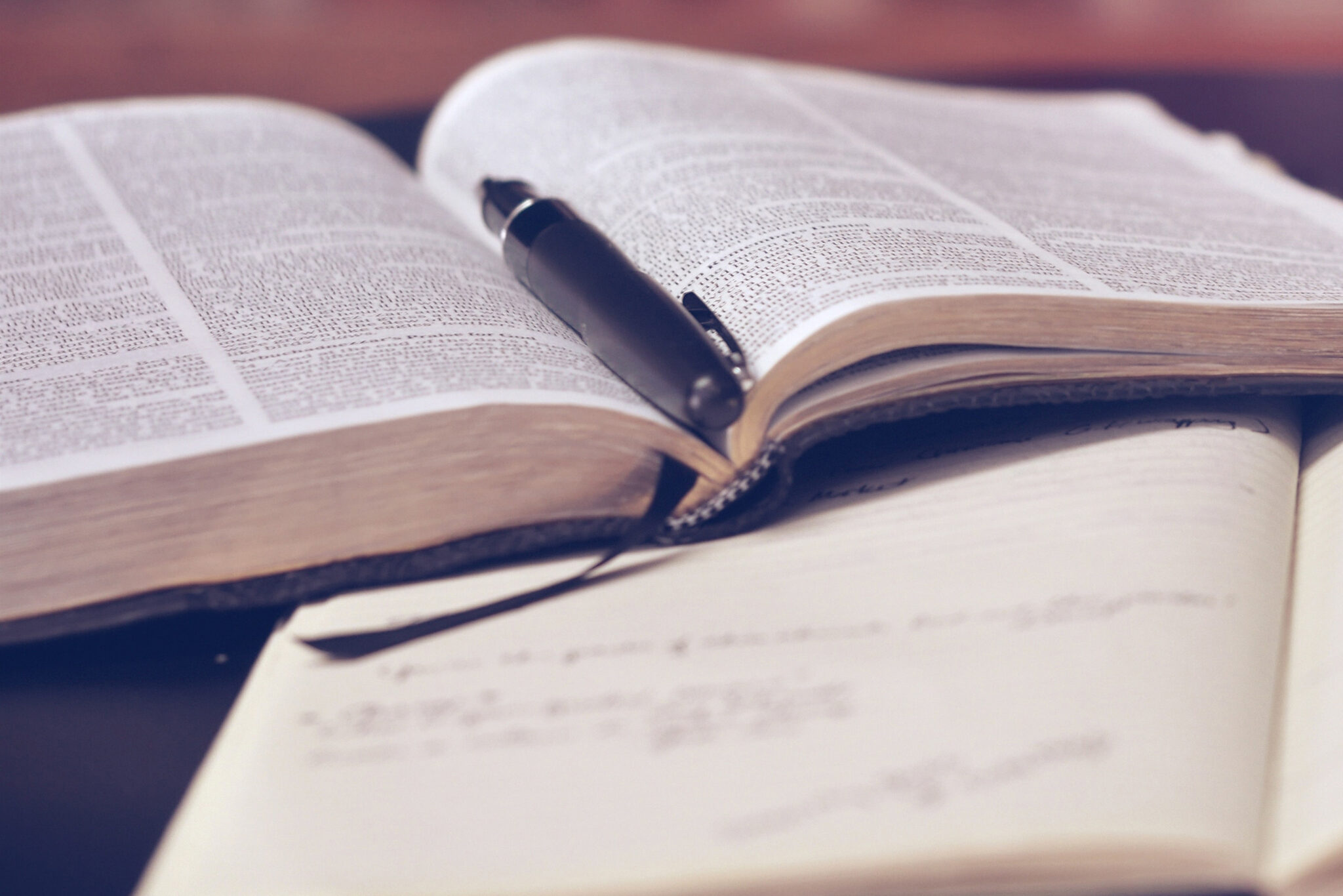 Mestrado em Tradução e Assessoria Linguística – FCSH – Faculdade de ...